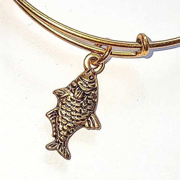 Alex and Ani | Jewelry | Alex And Ani Fish Bangle Bracelet Koi Fish ...